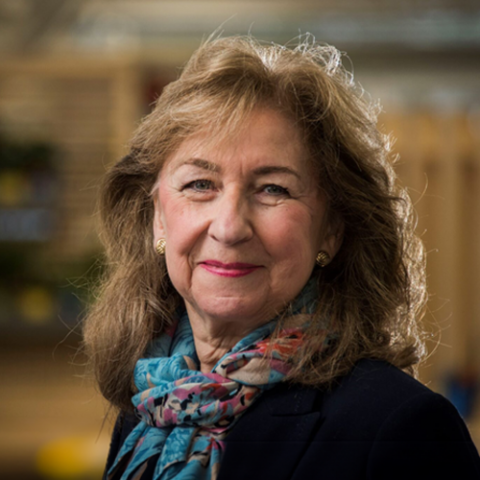 Dundee Climate Leadership Group | Sustainable Dundee
